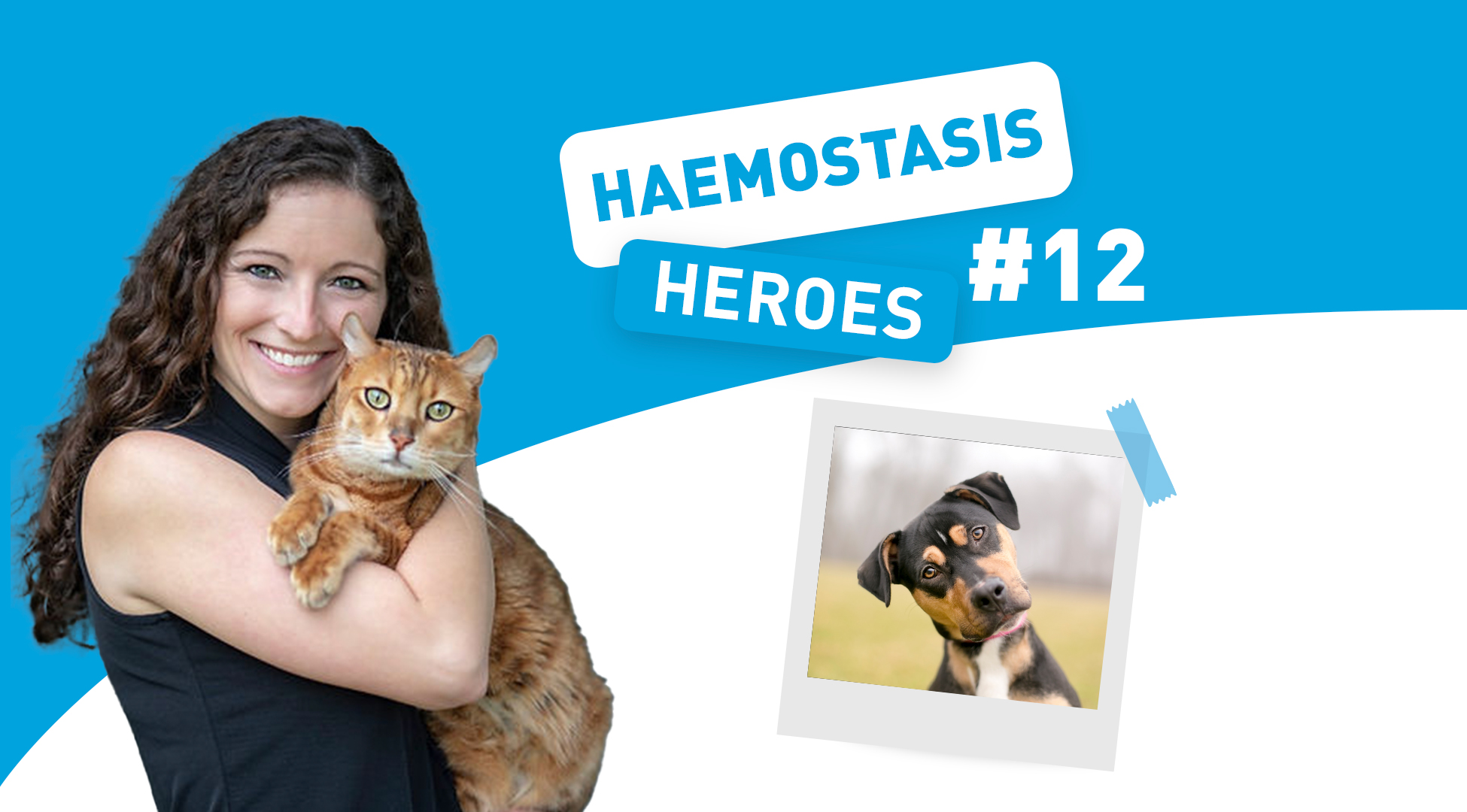 Dr. Robin Urie on VETIGEL® for Haemostasis in Veterinary Procedures ...