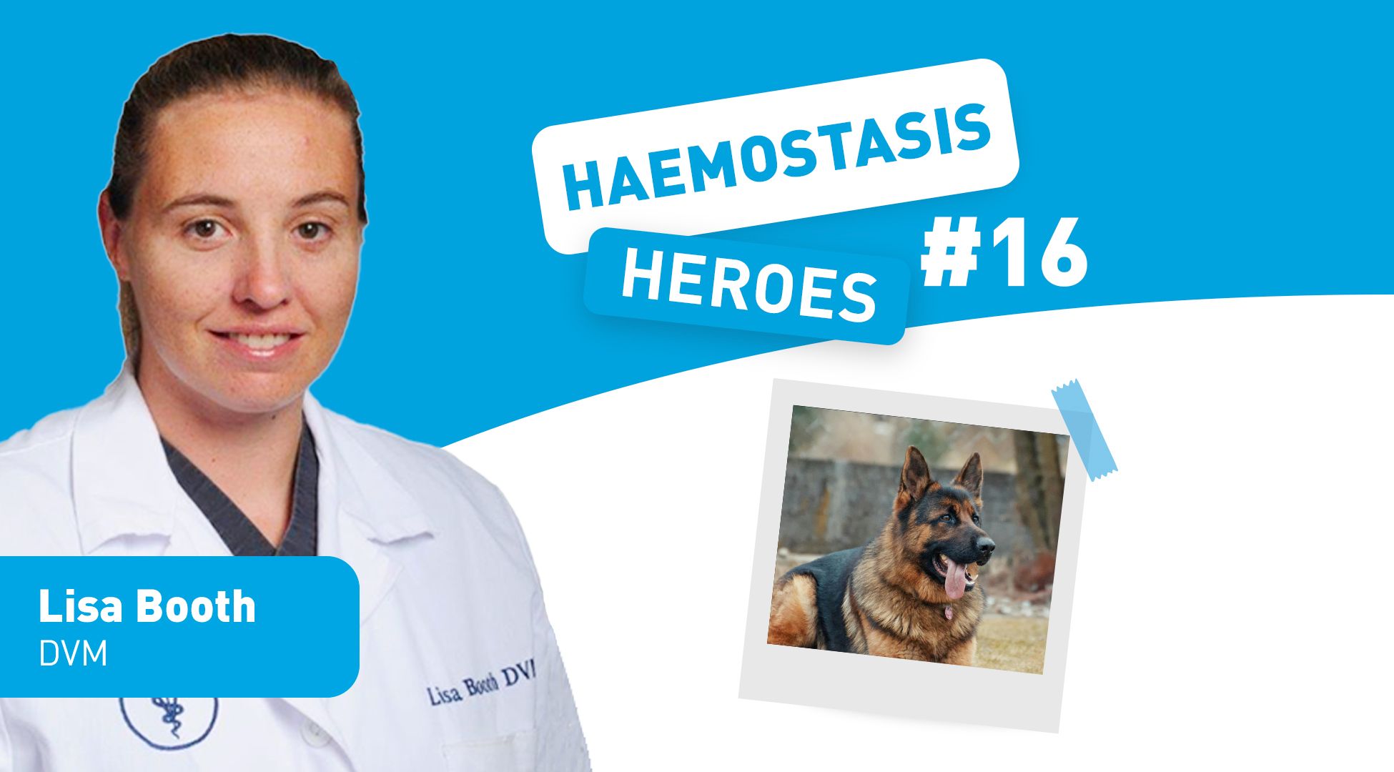 Dr. Lisa Booth on VETIGEL® for Trauma and K9 Care - VETIGEL